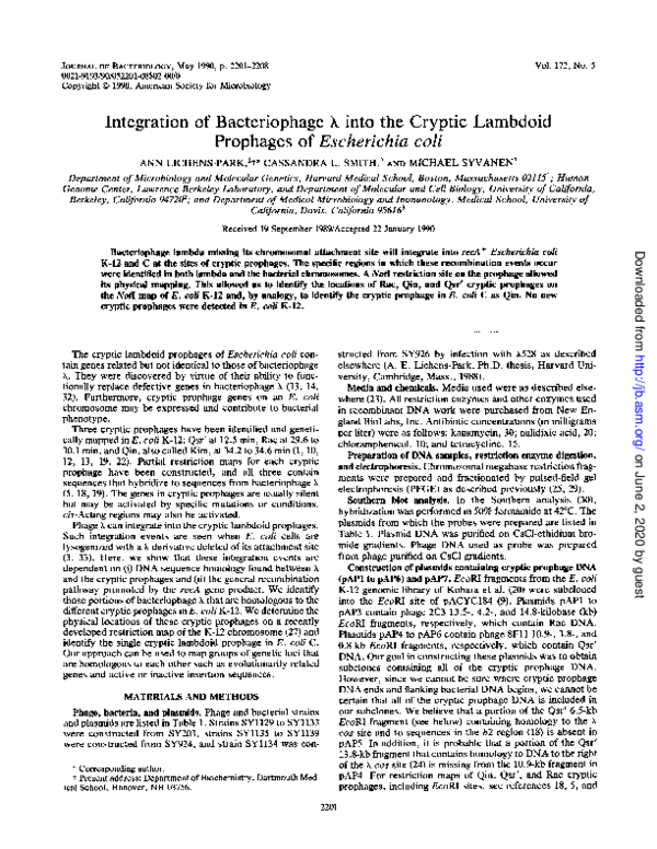 (PDF) Integration of bacteriophage lambda into the cryptic lambdoid prophages of Escherichia coli