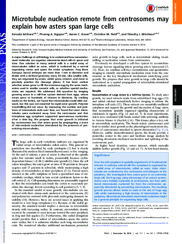 (PDF) Microtubule nucleation remote from centrosomes may explain how ...