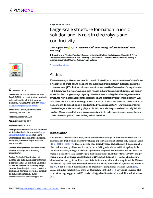 (PDF) Large-scale structure formation in ionic solution and its role in ...