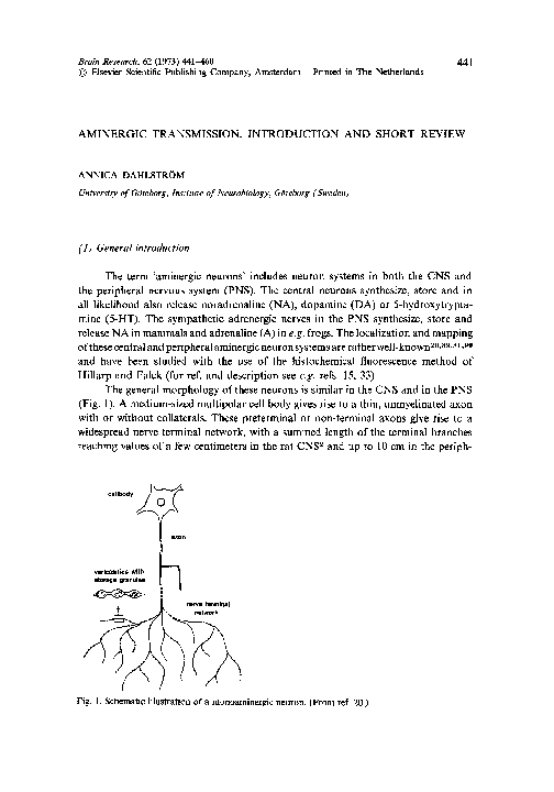 (PDF) Aminergic transmission. Introduction and short review