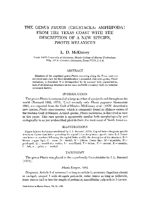 (PDF) The Genus Photis (Crustacea: Amphipoda) from the Texas Coast with ...