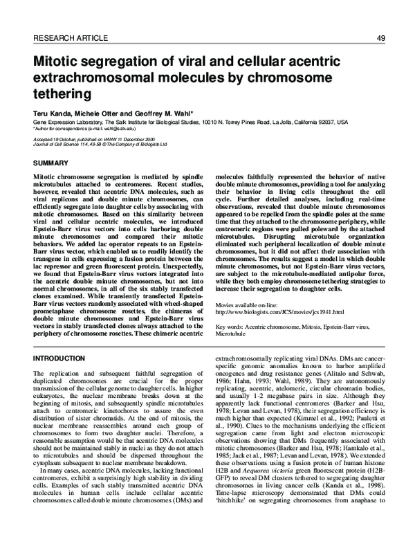 (PDF) Mitotic segregation of viral and cellular acentric ...
