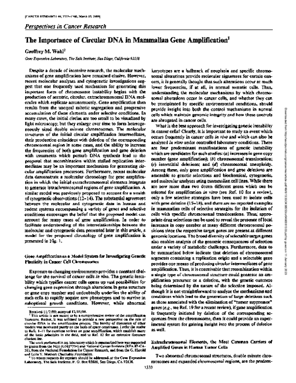 (PDF) The importance of circular DNA in mammalian gene amplification