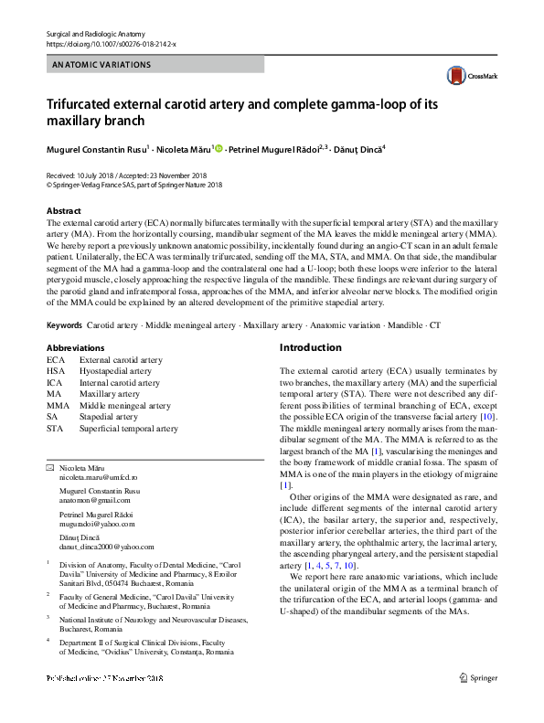 (PDF) Trifurcated external carotid artery and complete gamma-loop of ...