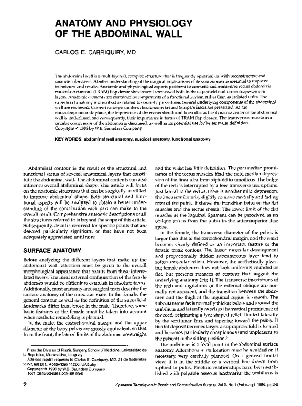 (PDF) Anatomy and physiology of the abdominal wall