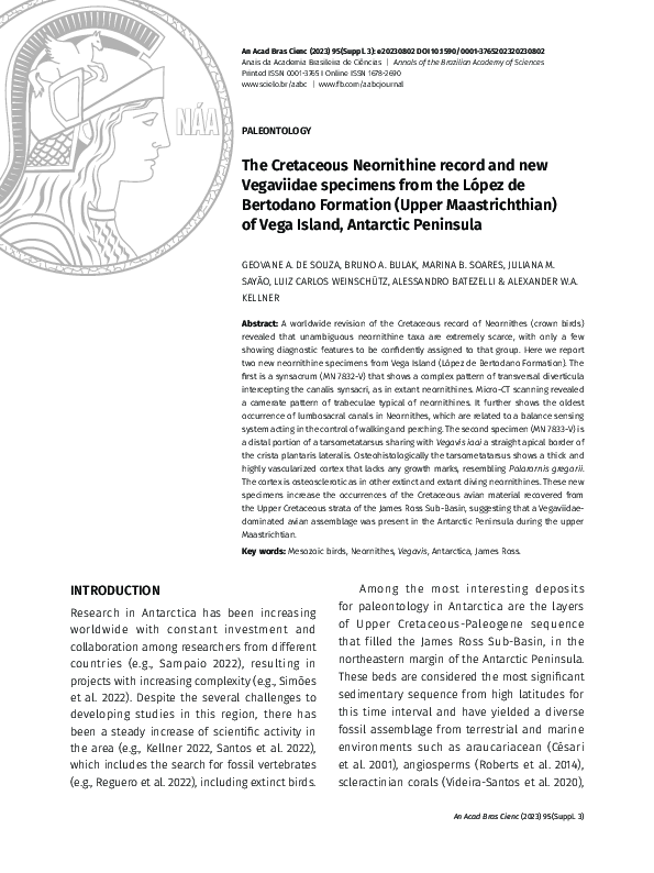 (PDF) The Cretaceous Neornithine record and new Vegaviidae specimens ...