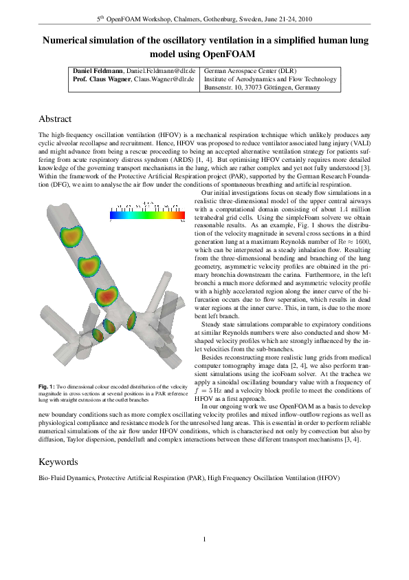 (PDF) Numerical simulation of the oscillatory ventilation in simplified human lung models using ...