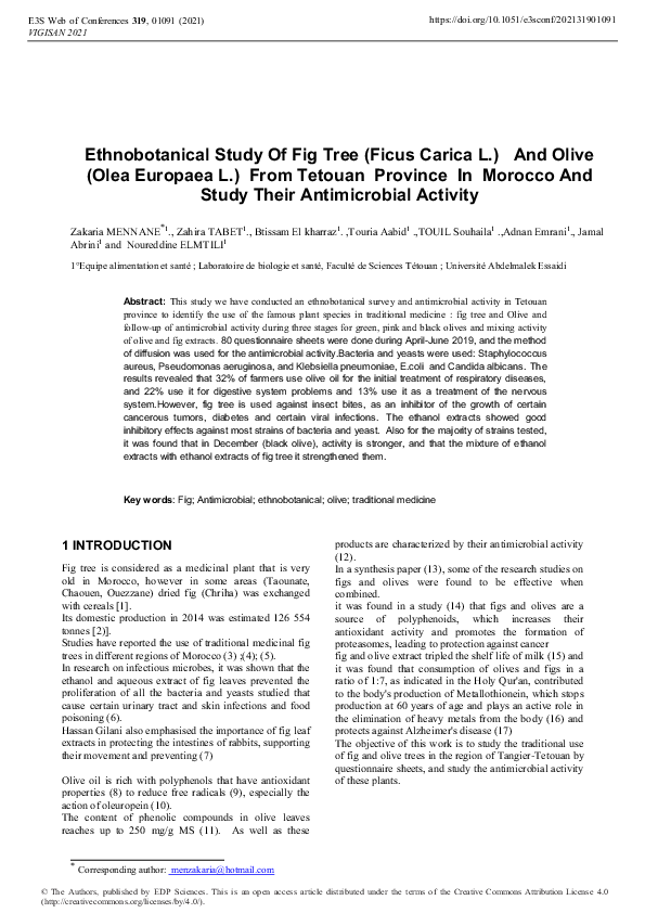 (PDF) Ethnobotanical Study of Fig Tree (Ficus Carica L.) And Olive ...