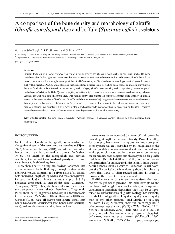 (PDF) A comparison of the bone density and morphology of giraffe ...