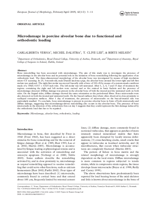 (PDF) Microdamage in porcine alveolar bone due to functional and ...