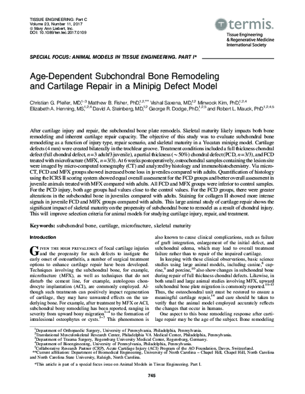 (PDF) Age-Dependent Subchondral Bone Remodeling and Cartilage Repair in ...