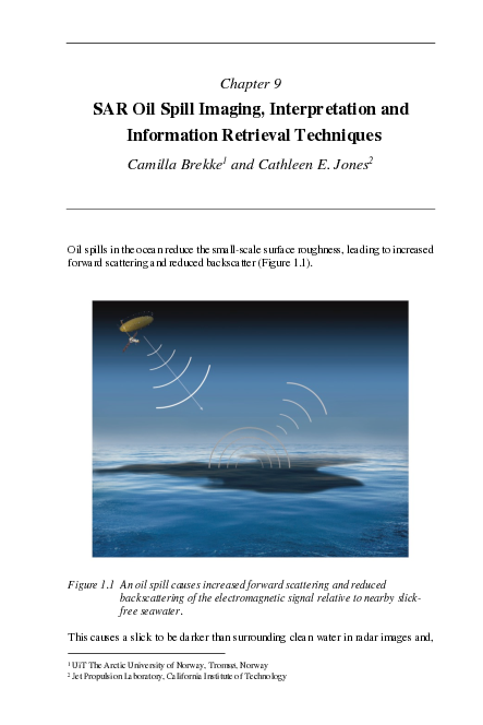 (PDF) SAR oil spill imaging, interpretation and information retrieval ...