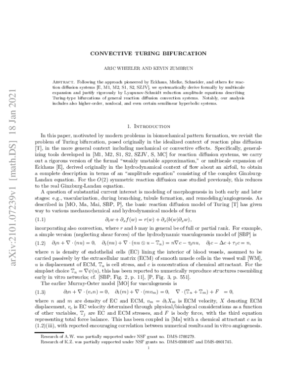 (PDF) Convective Turing Bifurcation (PDF) Convective Turing Bifurcation