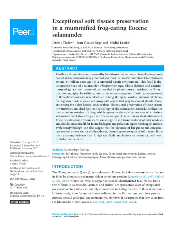 (PDF) Exceptional soft tissues preservation in a mummified frog-eating ...