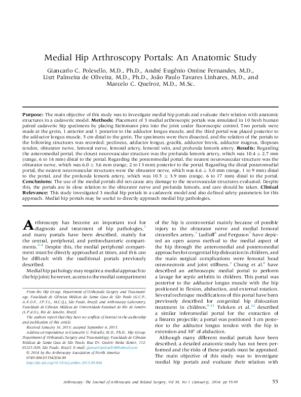 (PDF) Medial Hip Arthroscopy Portals: An Anatomic Study