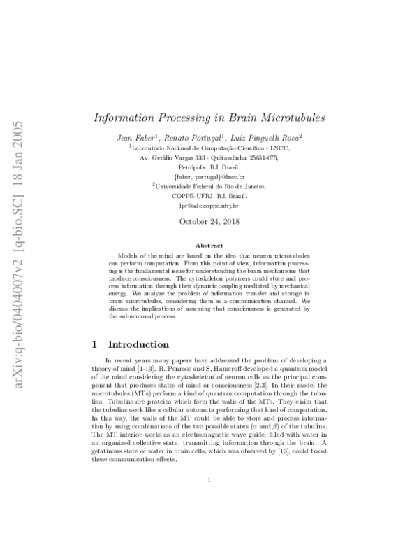 (PDF) Information processing in brain microtubules | Jean Faber - Academia.edu