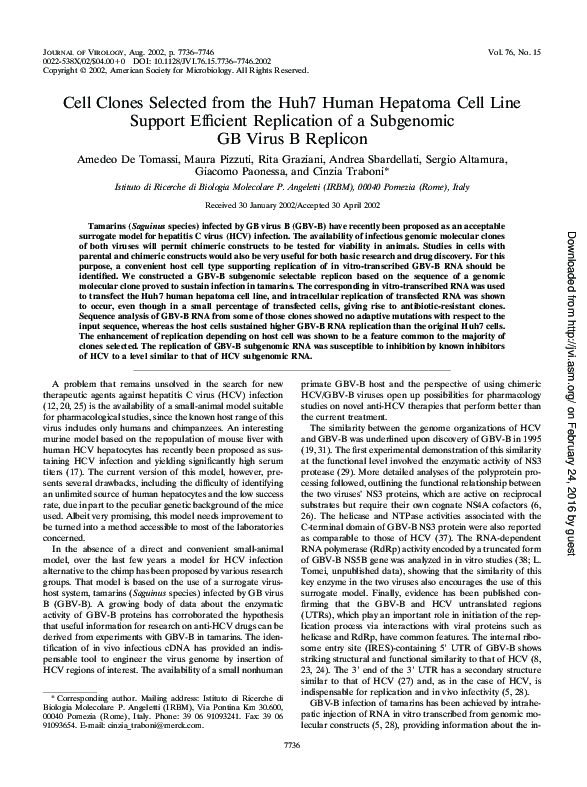 (PDF) Cell Clones Selected from the Huh7 Human Hepatoma Cell Line ...
