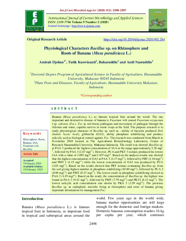 (PDF) Physiological Characters Bacillus sp. on Rhizosphere and Roots of ...