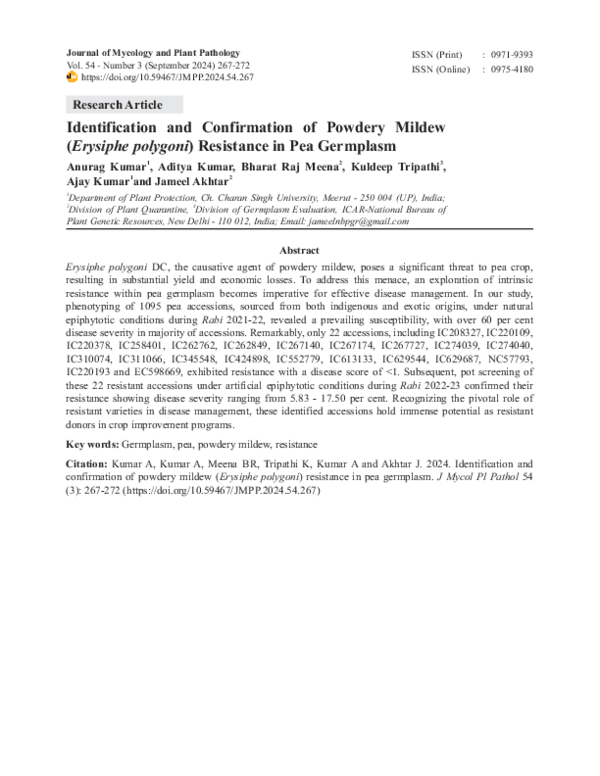 (PDF) Identification and Confirmation of Powdery Mildew ( ) Resistance ...