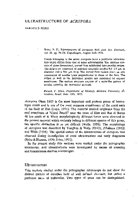 (PDF) Ultrastructure of Acropora