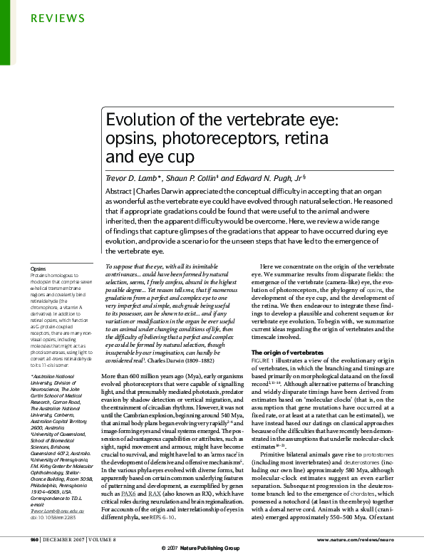 (PDF) Evolution of the vertebrate eye: opsins, photoreceptors, retina ...
