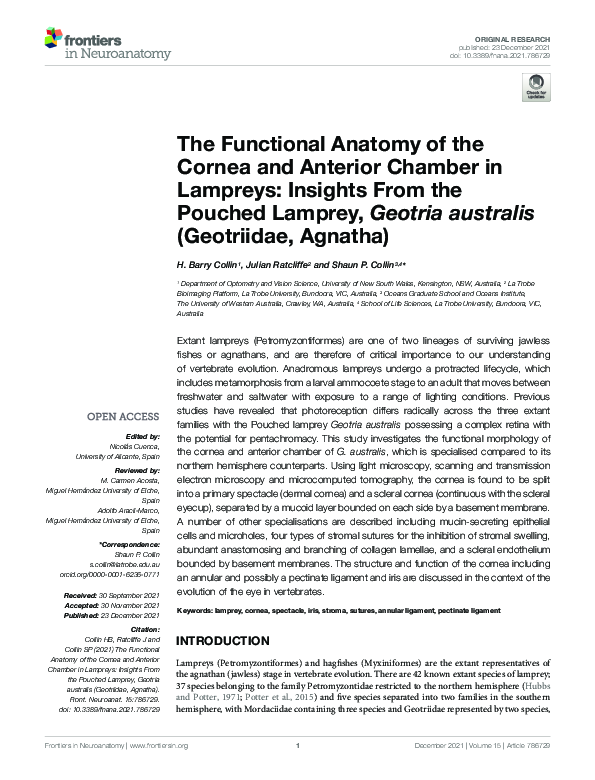 (PDF) The Functional Anatomy of the Cornea and Anterior Chamber in ...
