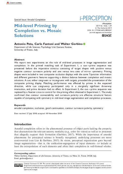 (PDF) Mid-level Priming by Completion vs. Mosaic Solutions