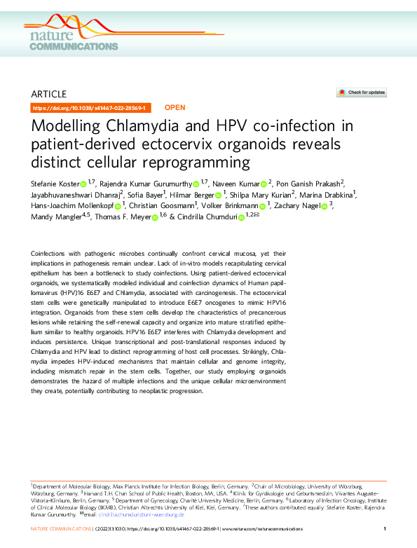(PDF) Modelling Chlamydia and HPV co-infection in patient-derived ...