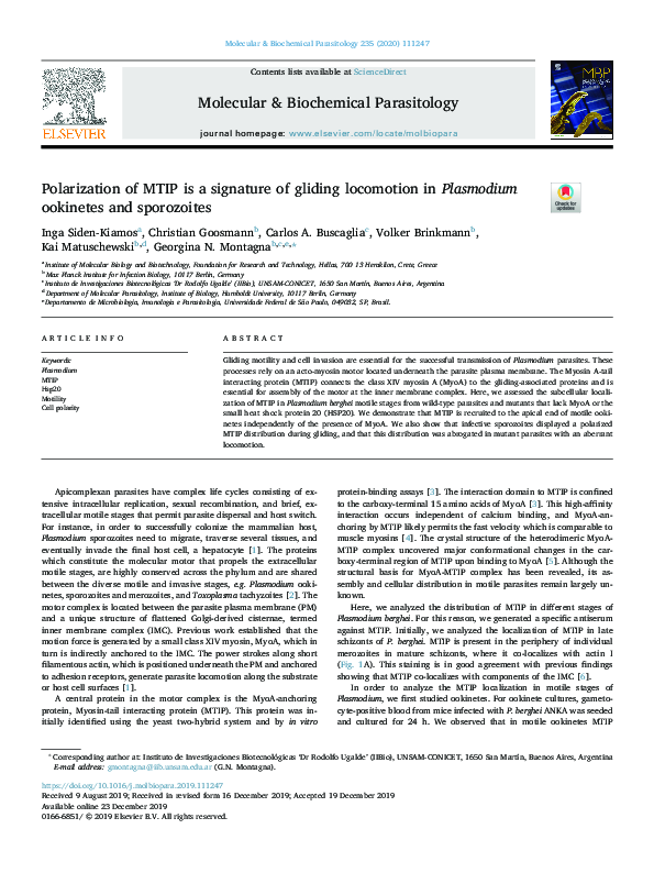 (PDF) Polarization of MTIP is a signature of gliding locomotion in ...