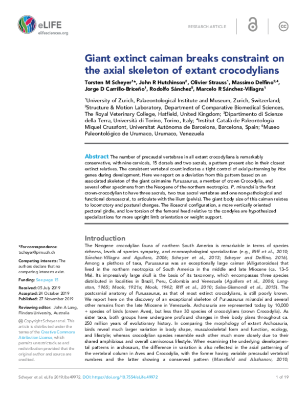 (PDF) Giant extinct caiman breaks constraint on the axial skeleton of ...