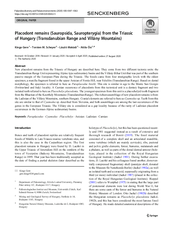 (PDF) Placodont remains (Sauropsida, Sauropterygia) from the Triassic ...