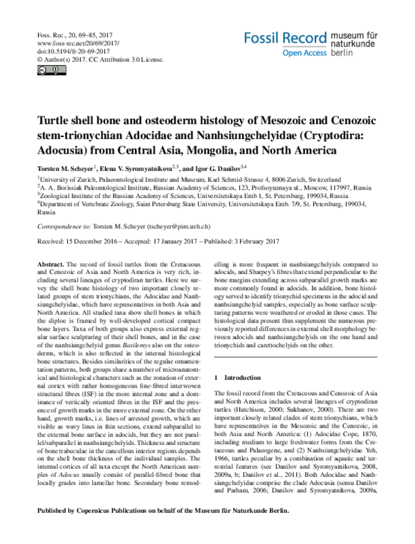 (PDF) Turtle shell bone and osteoderm histology of Mesozoic and ...