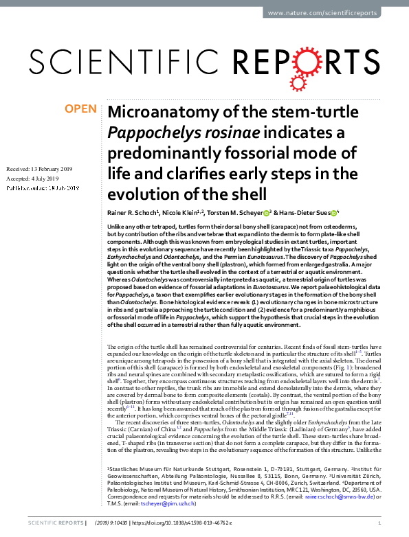 (PDF) Microanatomy of the stem-turtle Pappochelys rosinae indicates a ...