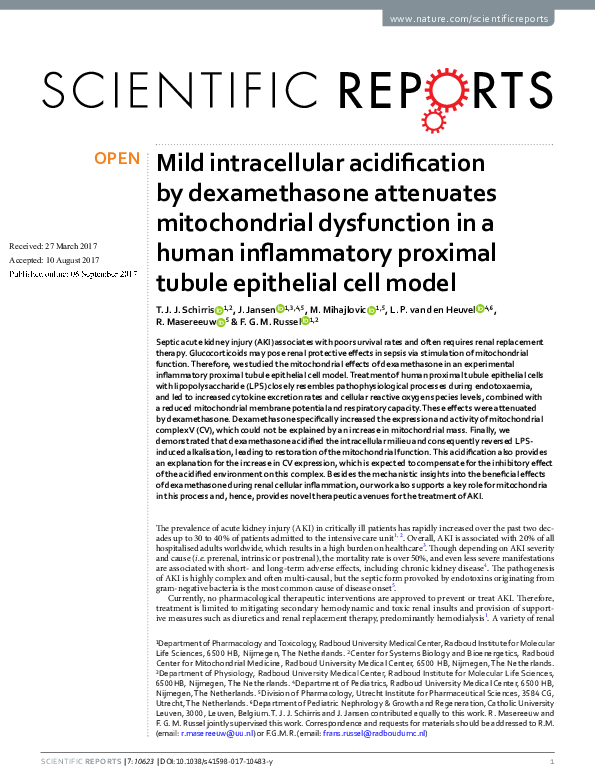 (PDF) Mild intracellular acidification by dexamethasone attenuates ...