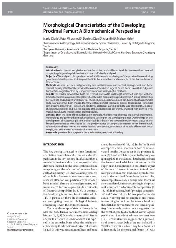 (PDF) Morphological characteristics of the developing proximal femur: A ...
