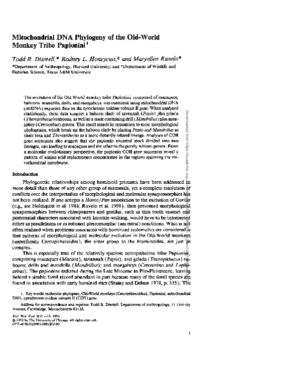 (PDF) Mitochondrial DNA phylogeny of the Old-World monkey tribe Papionini