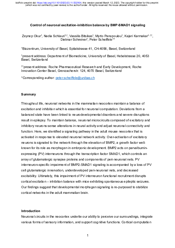(PDF) Control of neuronal excitation-inhibition balance by BMP-SMAD1 signaling