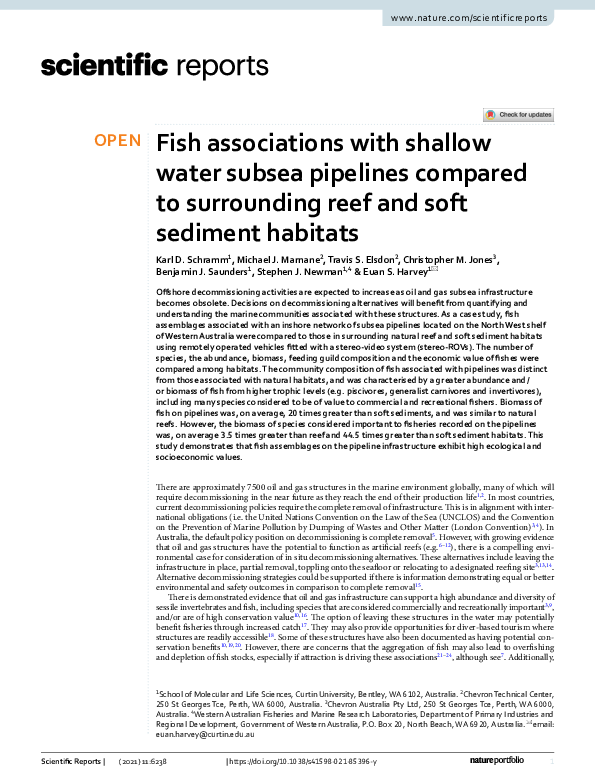 (PDF) Fish associations with shallow water subsea pipelines compared to ...