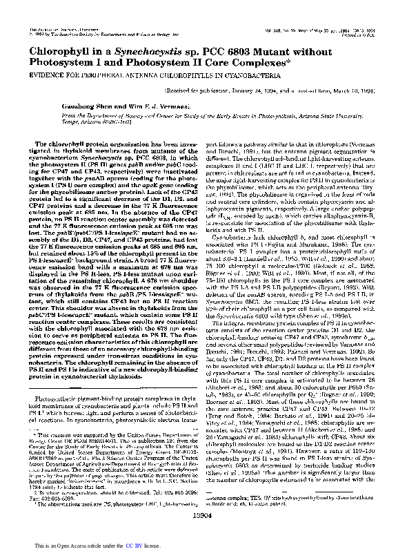 (PDF) Chlorophyll in a Synechocystis sp. PCC 6803 mutant without photosystem I and photosystem ...
