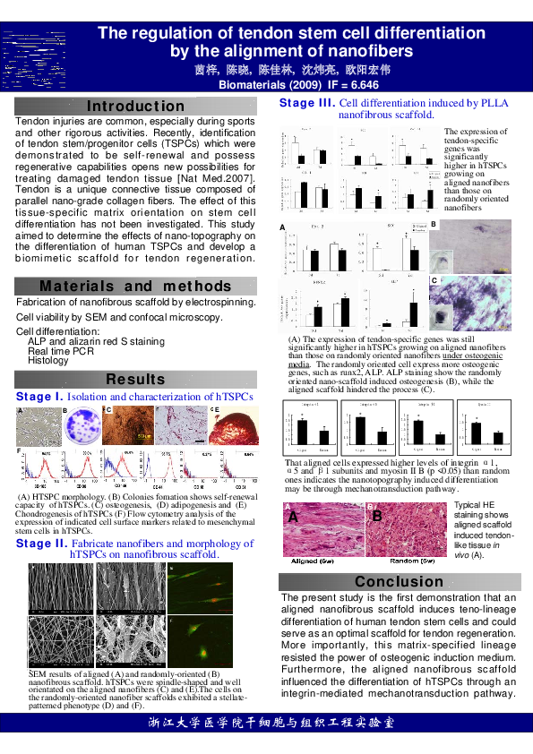 (PDF) The regulation of tendon stem cell differentiation by the ...