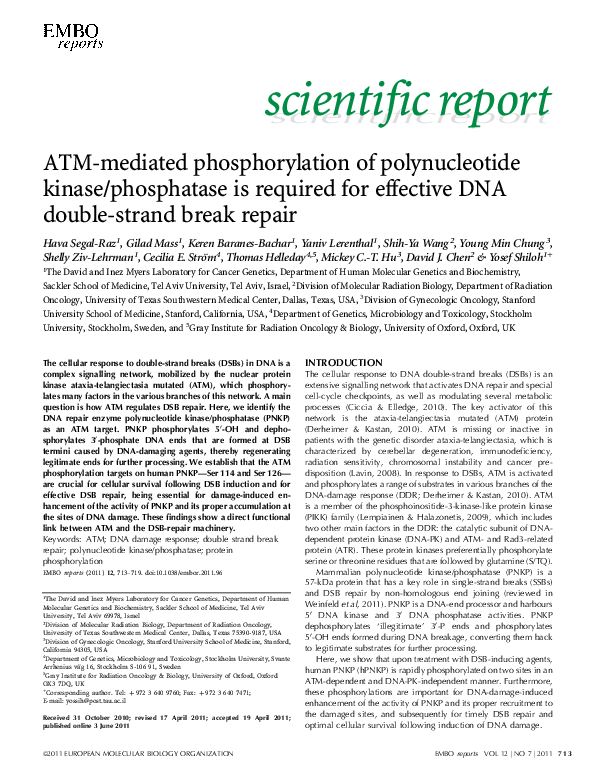 (PDF) ATM‐mediated phosphorylation of polynucleotide kinase/phosphatase ...