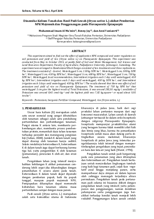 (PDF) Dinamika Kalium Tanah dan Hasil Padi Sawah (Oryza sativa L ...