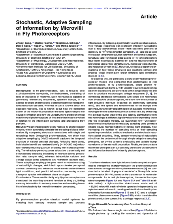 (PDF) Stochastic, Adaptive Sampling of Information by Microvilli in Fly Photoreceptors