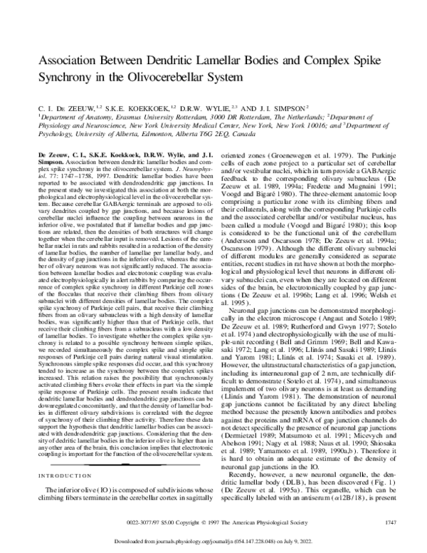 (PDF) Association Between Dendritic Lamellar Bodies and Complex Spike ...