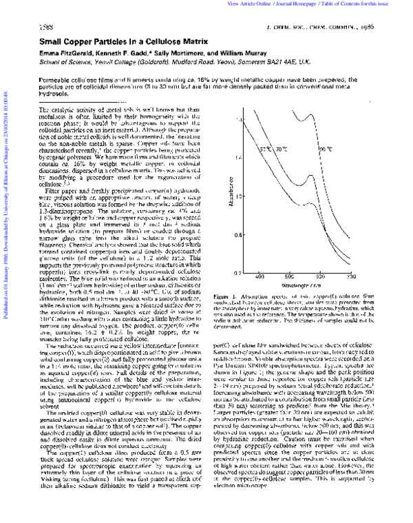 (PDF) Small copper particles in a cellulose matrix | Sally Mortimore ...