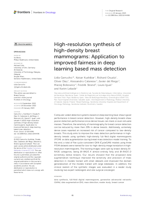 (PDF) High-resolution synthesis of high-density breast mammograms ...