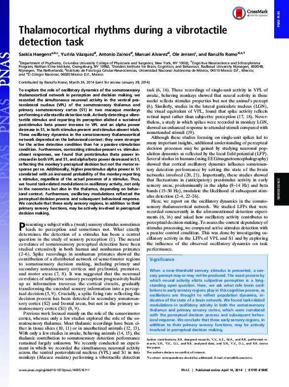 (PDF) Thalamocortical rhythms during a vibrotactile detection task