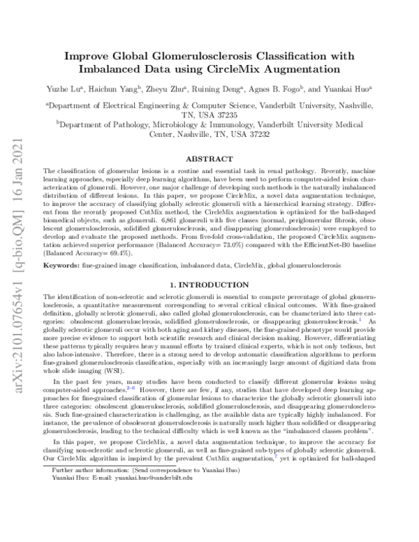 (PDF) Improve global glomerulosclerosis classification with imbalanced data using CircleMix ...