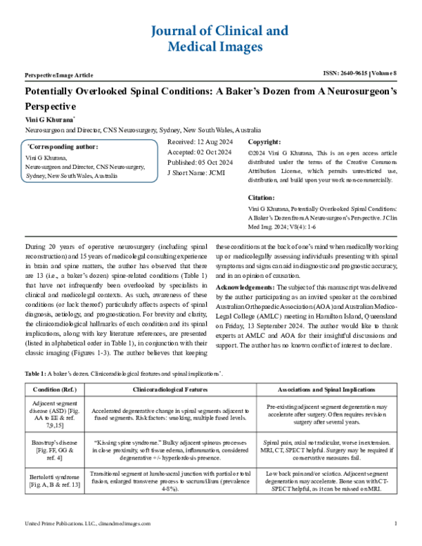 (PDF) Perspective/Image Article