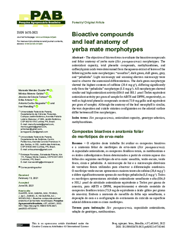 (PDF) Bioactive compounds and leaf anatomy of yerba mate morphotypes